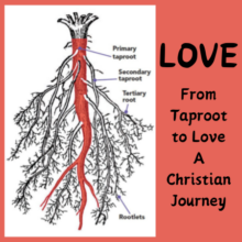 Holy Trinity United Methodist Church – Love God, inspire hope, uplift ...